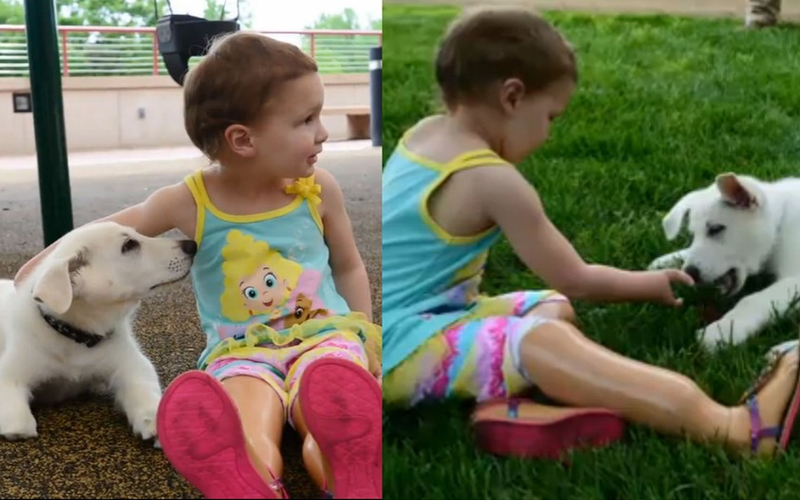 Toddler Born Without Feet Gets Puppy Born Without a Paw