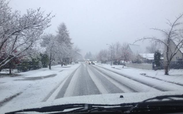 PHOTOS: Winter Storm Blankets The South Island In Snow