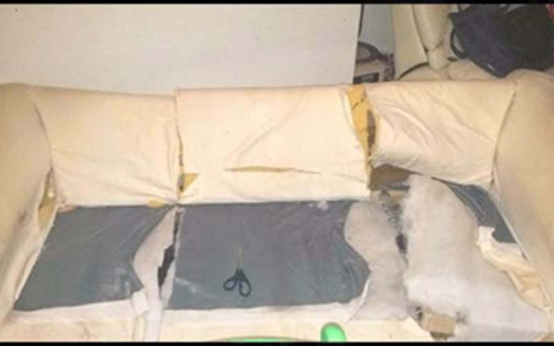 Woman Tries Over & Over Again to Sell Crappy Sofa So Guy Teaches Her A ...