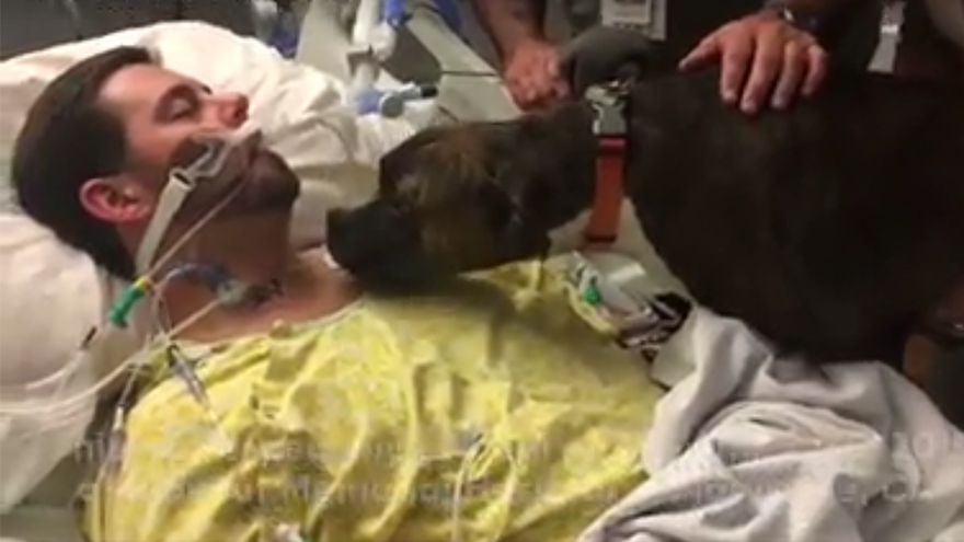 Hospital allows devoted dog to give bedside goodbye to dying owner