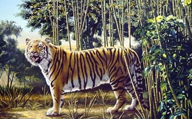 This tiger brain teaser will leave you scratching your head