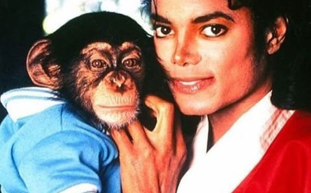 Here is the heartbreaking story of where Bubbles the Chimp is now